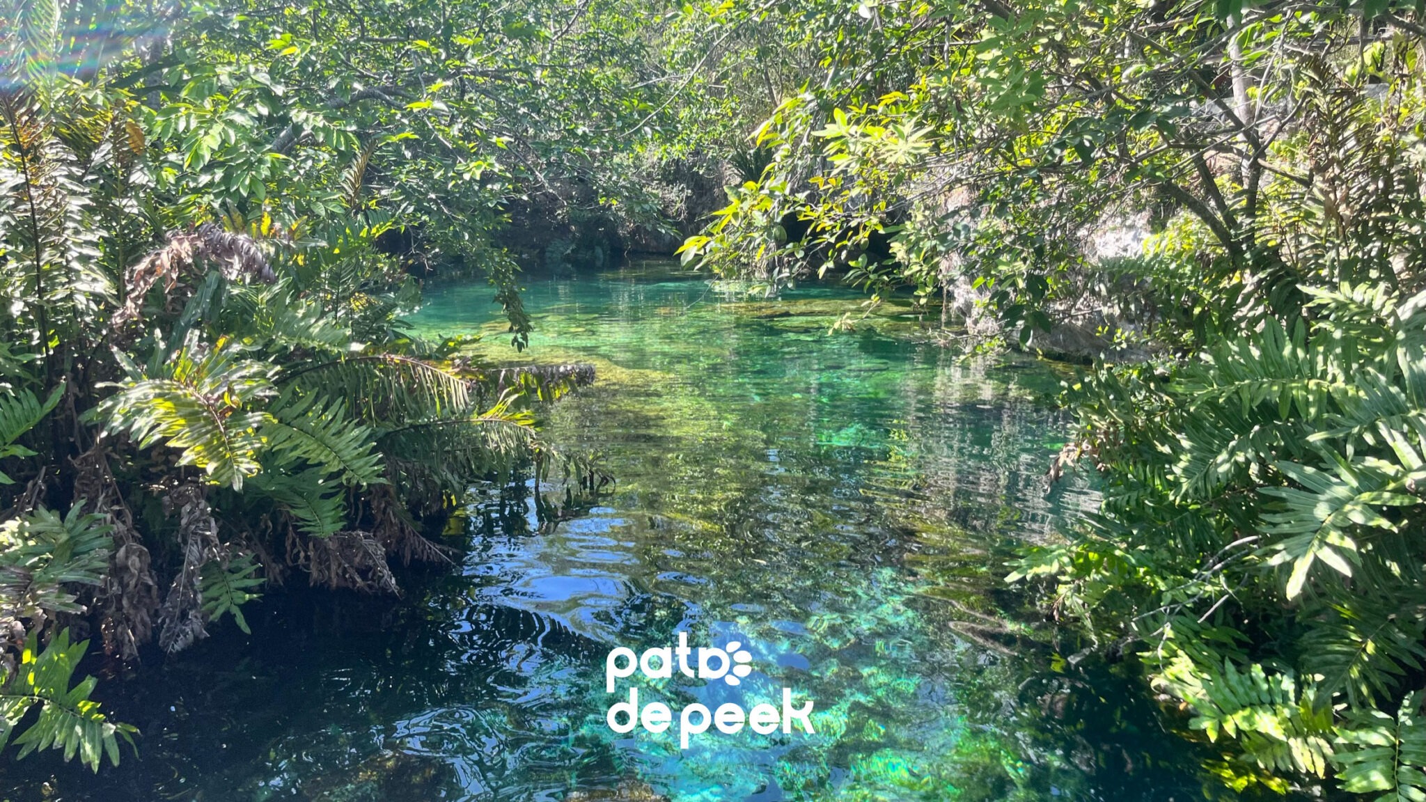 ⭐ Aventuras Mayas 2026 El Mejor Tour De La Rivera Maya