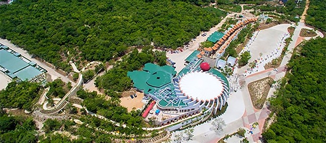 ️ Entrada Xenses Lo Que Debes Saber - Pata De Peek Travel ️